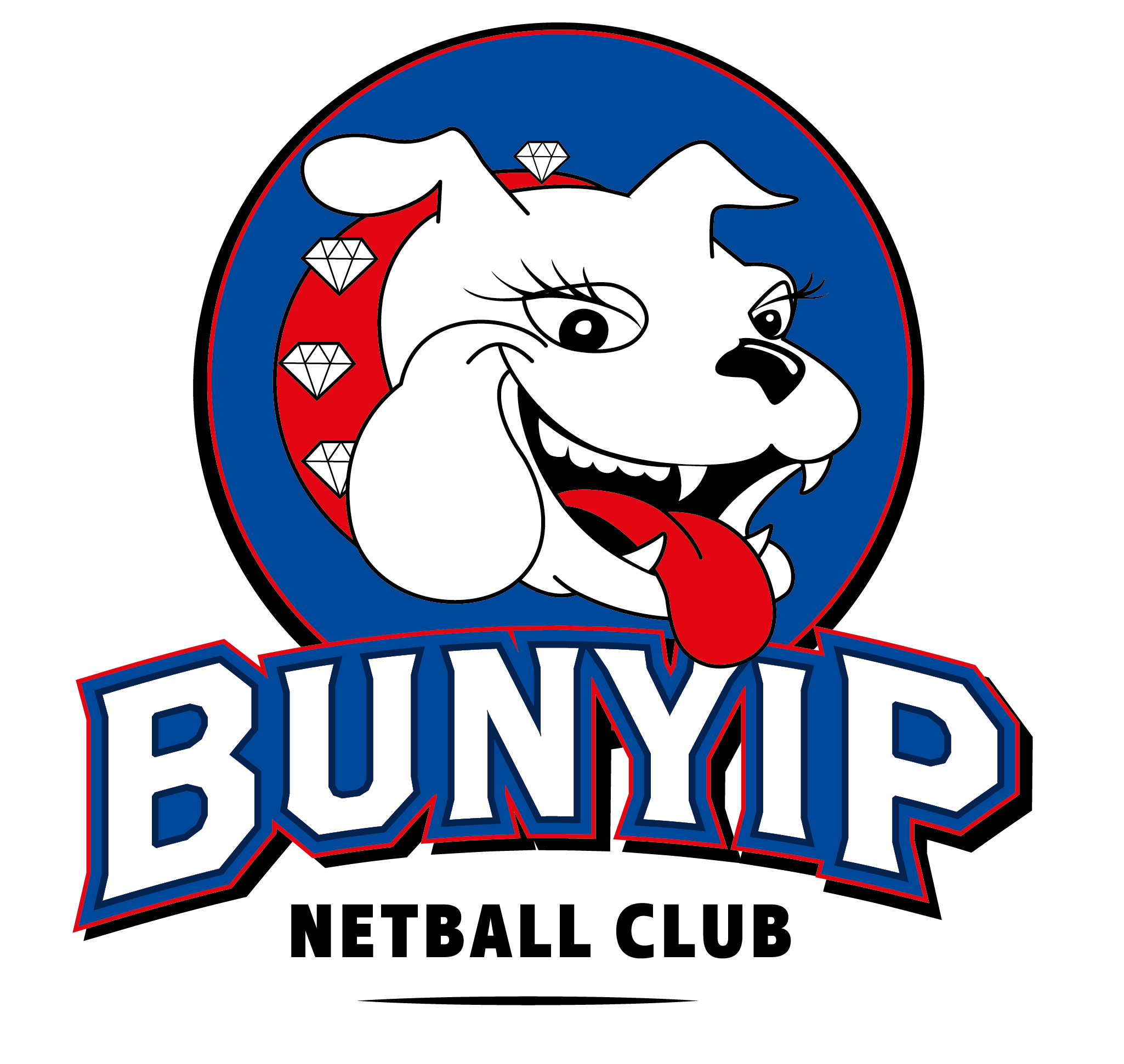 Silvan Community Sponsorship: Bunyip Netball Club | Silvan Australia
